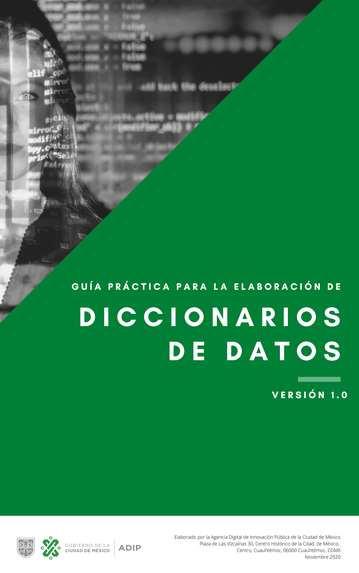 Guia diccionarios - mjik - D I C C I O N A R I O S D E D A T O S G U Í ...