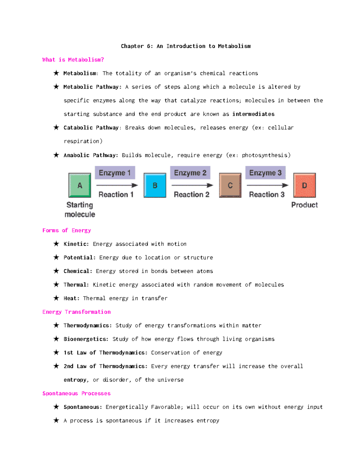 Metabolism - Studocu