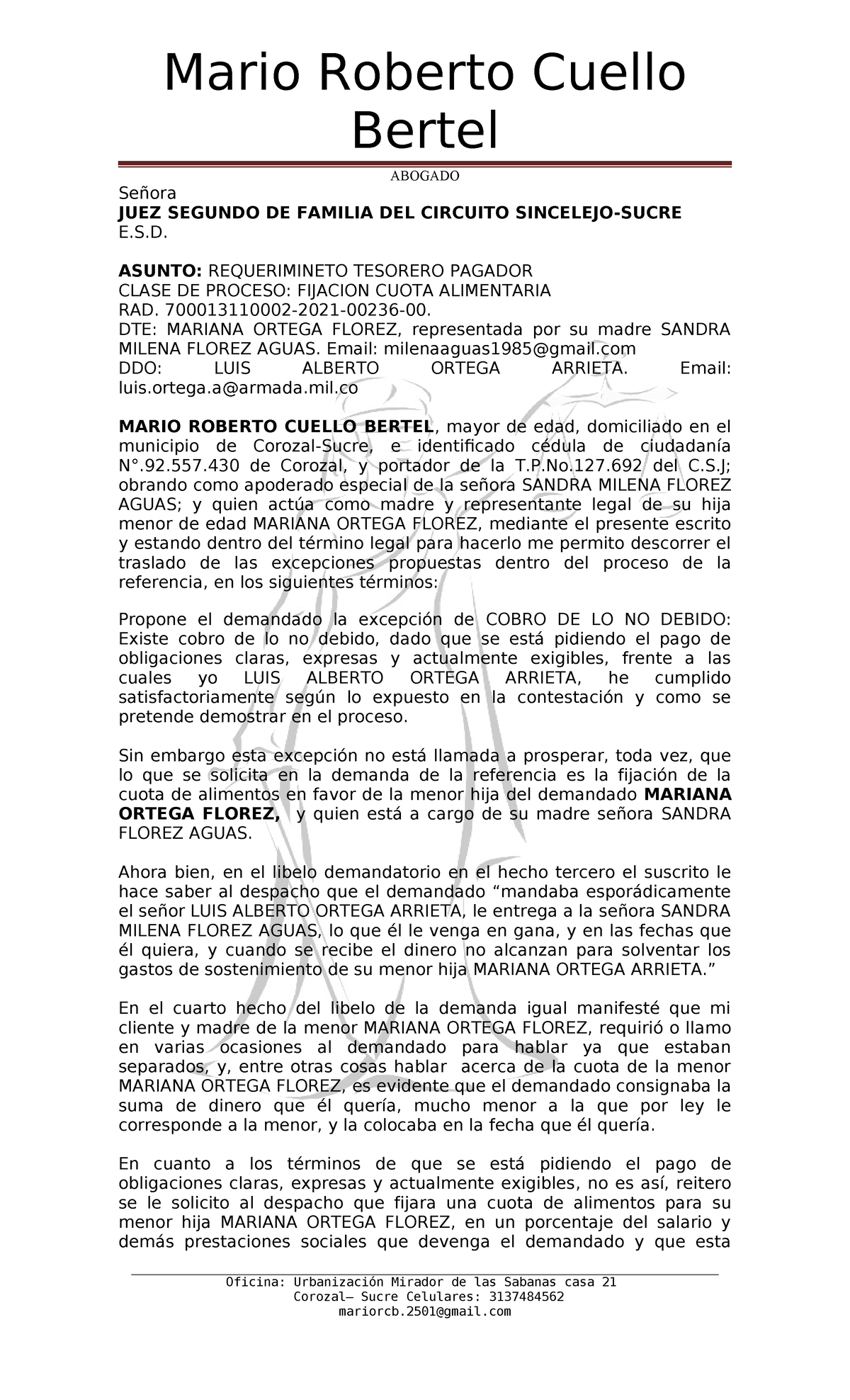 Traslado DE Excepciones DDA Alimentos Sandra Florez - Mario Roberto ...