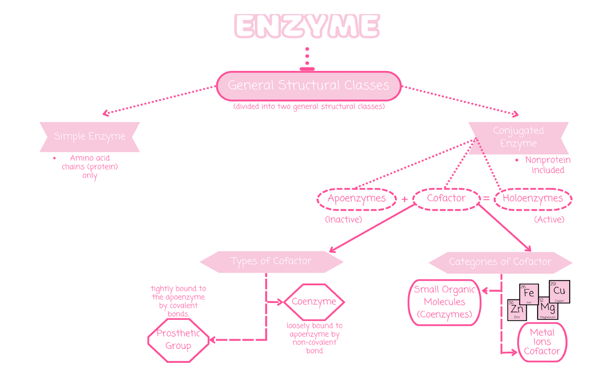 Enzymes - Summary Medical Technology - CLASSIFICATION OF ENZYMES NAME ...