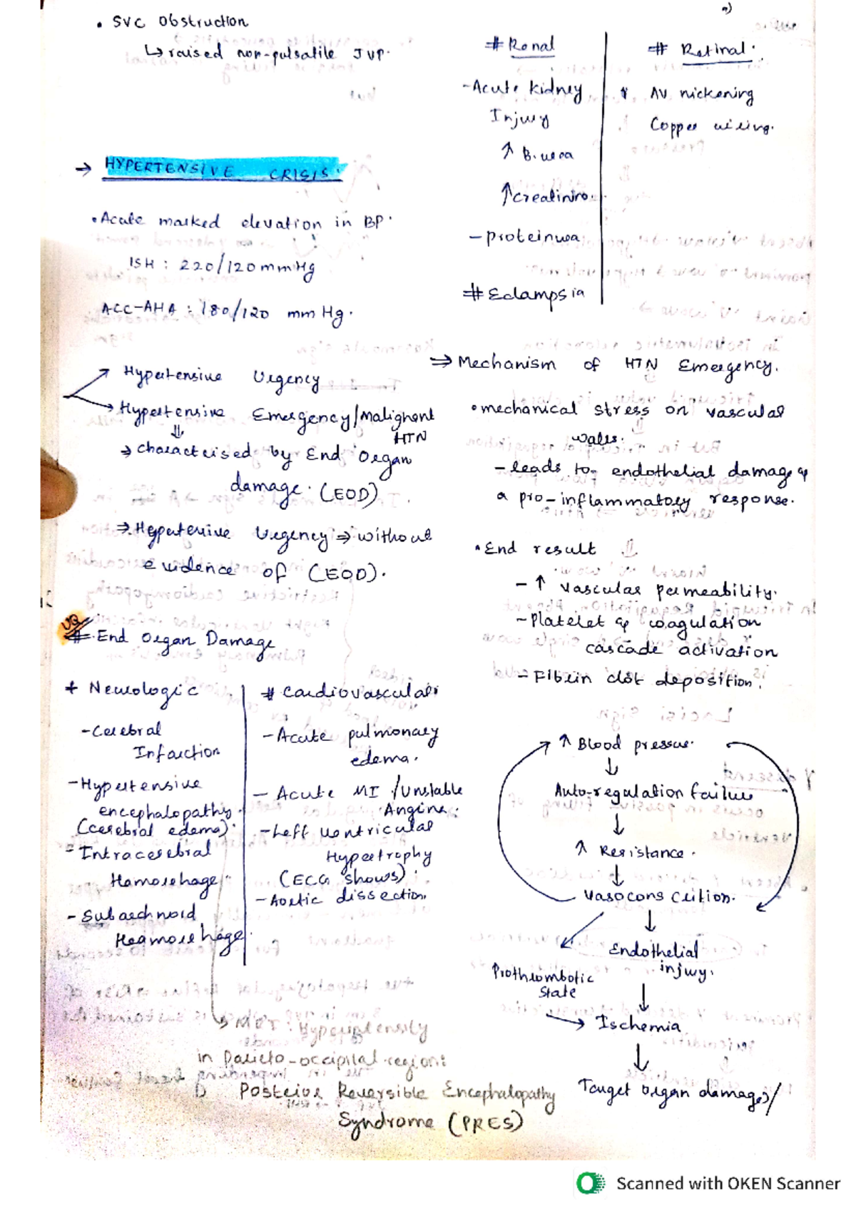 CVS - Cvs - SVC obstruction Ronal raised JVP Retinal kidney AV ...