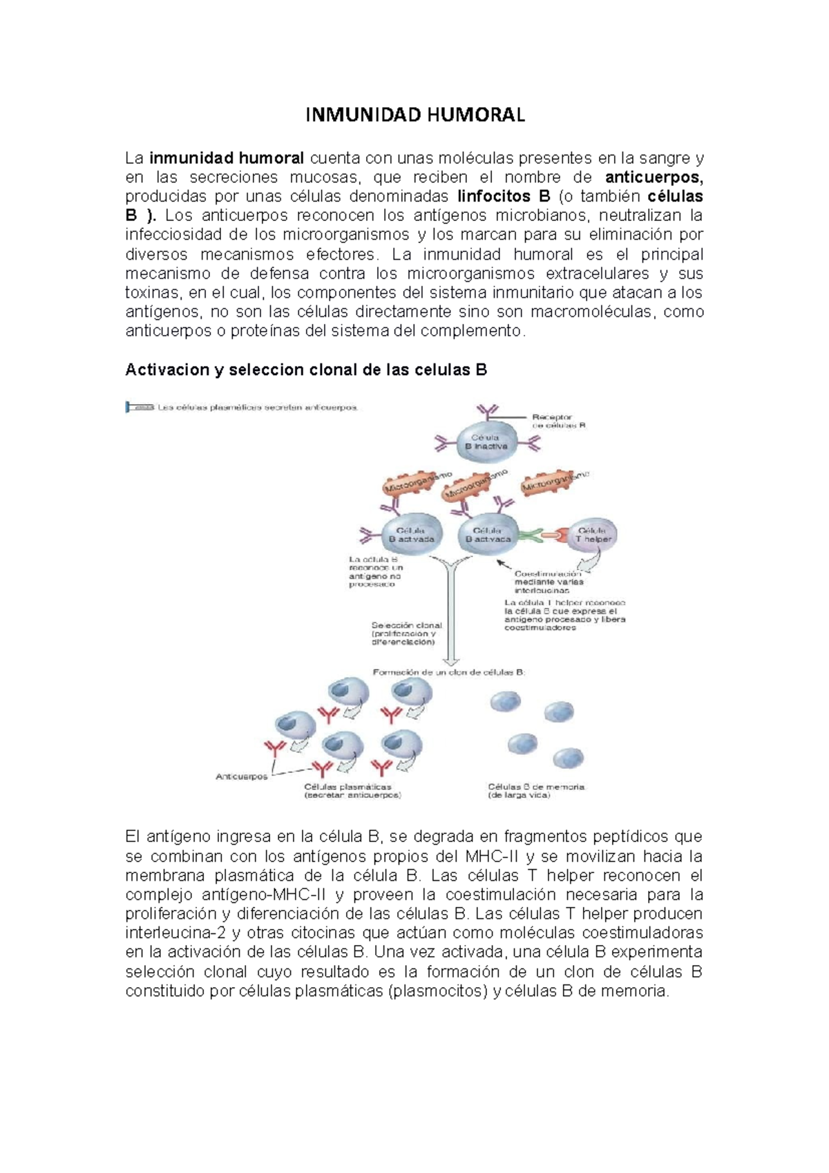 Inmunidad Humoral , Anticuerpos Y Complemento - INMUNIDAD HUMORAL La ...