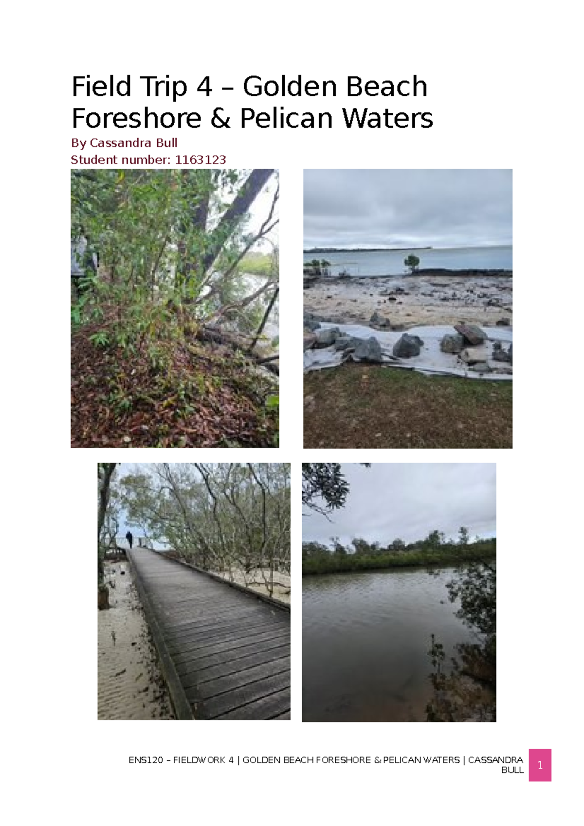 ENS120 - Fieldwork 3B - Field Trip 4 – Golden Beach Foreshore & Pelican ...