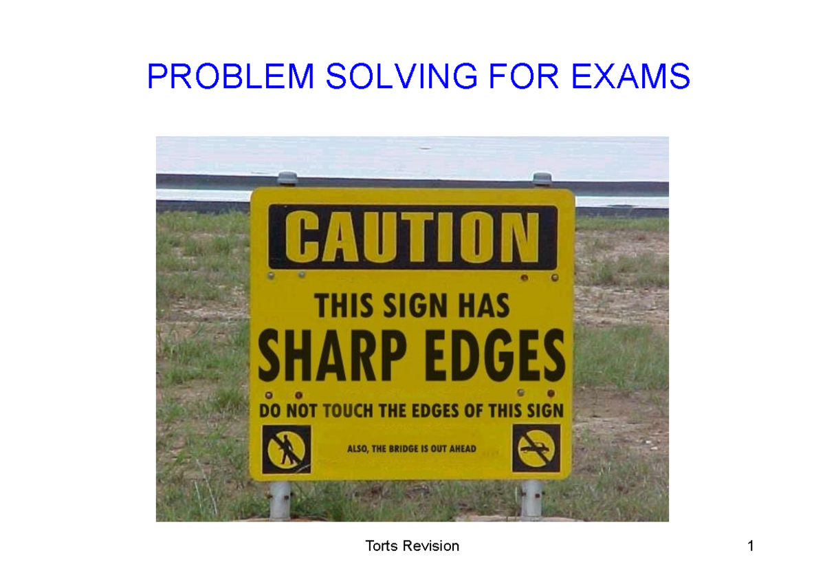Torts Problem Solving for Exams very good study notes for the final ...