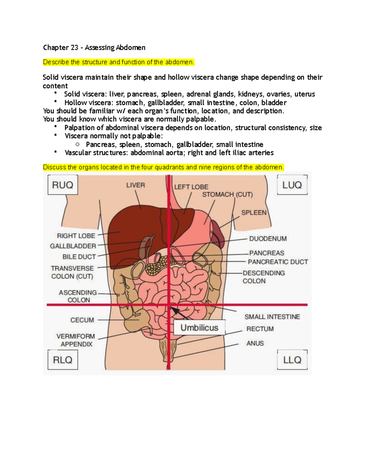 Chapter 23 Assessment - Chapter 23 - Assessing Abdomen Describe the ...