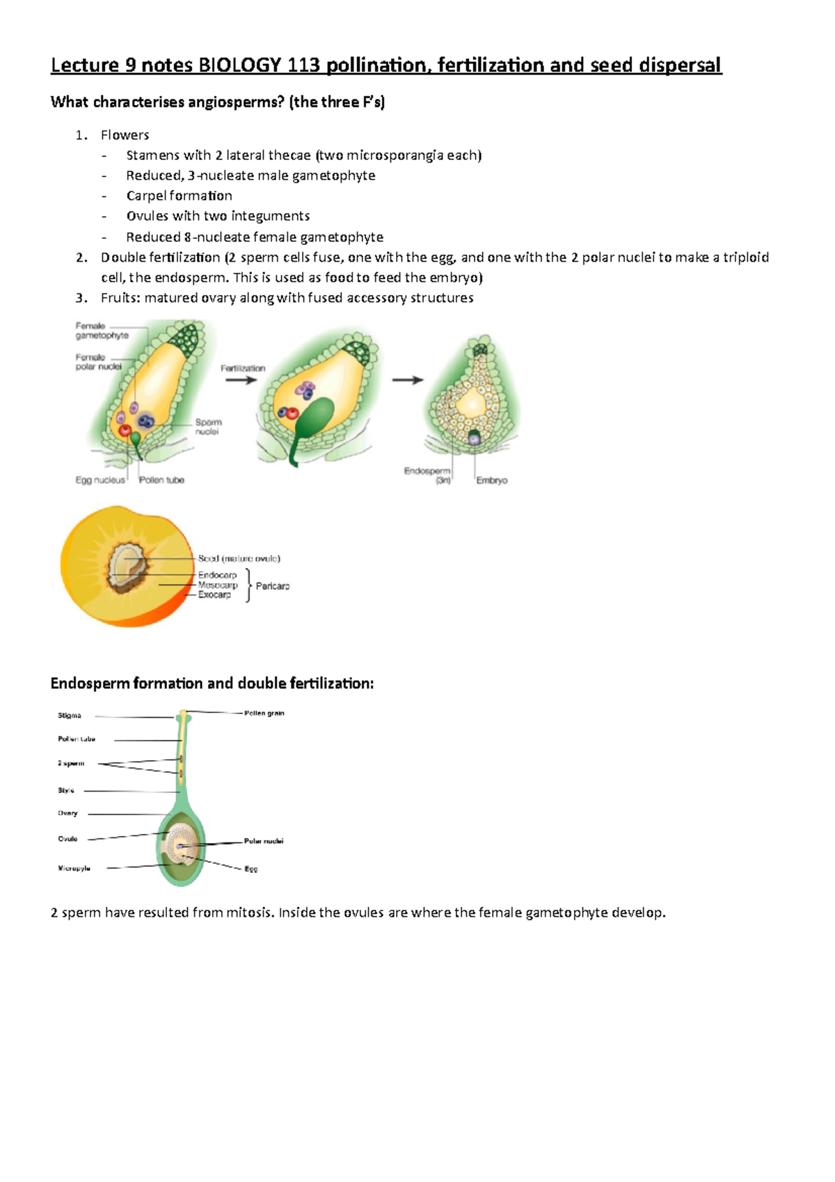 Lecture 9 notes pollination, fertilization, seed dispersal - Lecture 9 ...