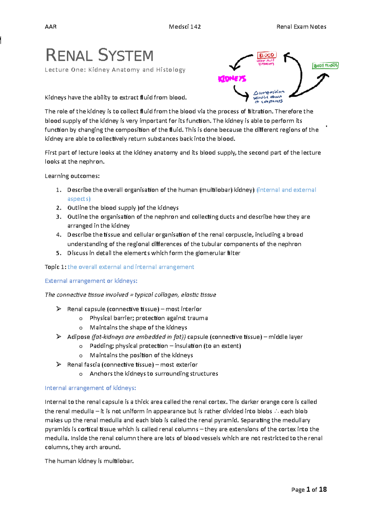 Renal Section Lecture/Lab Notes - AAR Medsci 142 Renal Exam Notes RENAL ...