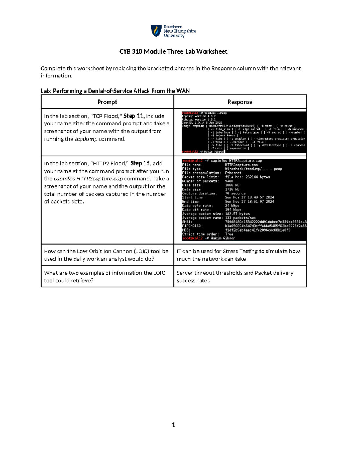 CYB Module 3 lab Hakim Gibson - CYB 310 Module Three Lab Worksheet ...