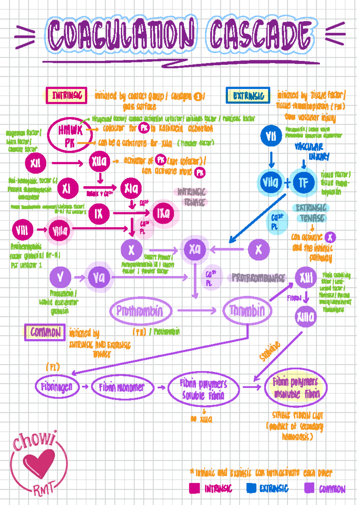 Coagulation Cascade - ( / INTRINSIC initiated by contact group I ...