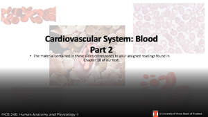 Chapter 19 - cardiovascular system introduction notes - 19 1 ...