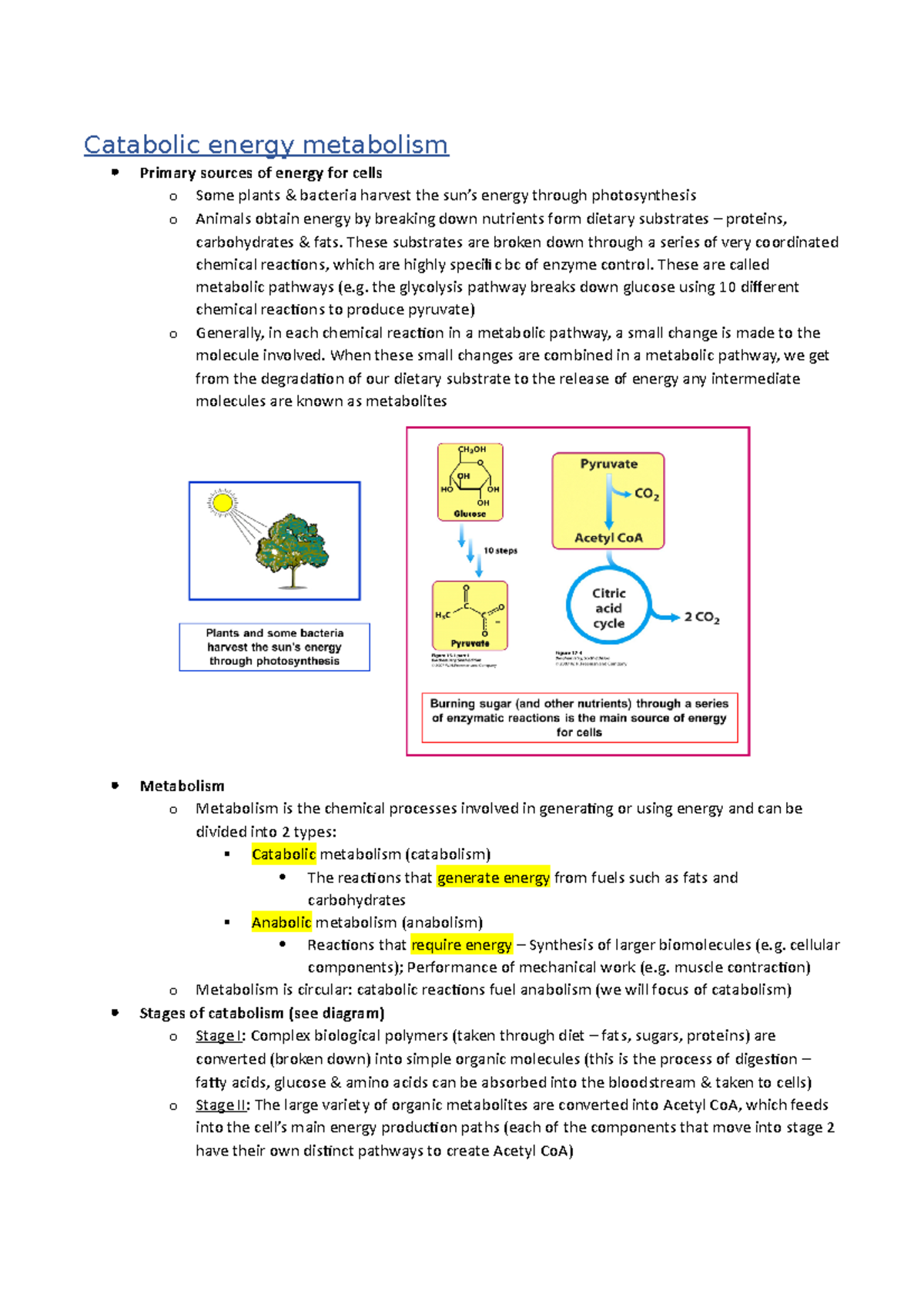 Metabolism - Lecture notes 19 - Catabolic energy metabolism Primary ...