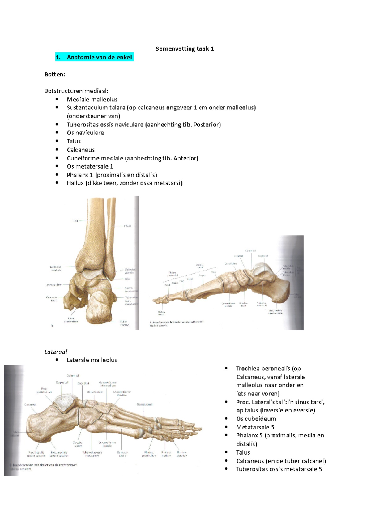 Samenvatting taak 1 - Chronische enkelklachten - Samenvatting taak 1 ...