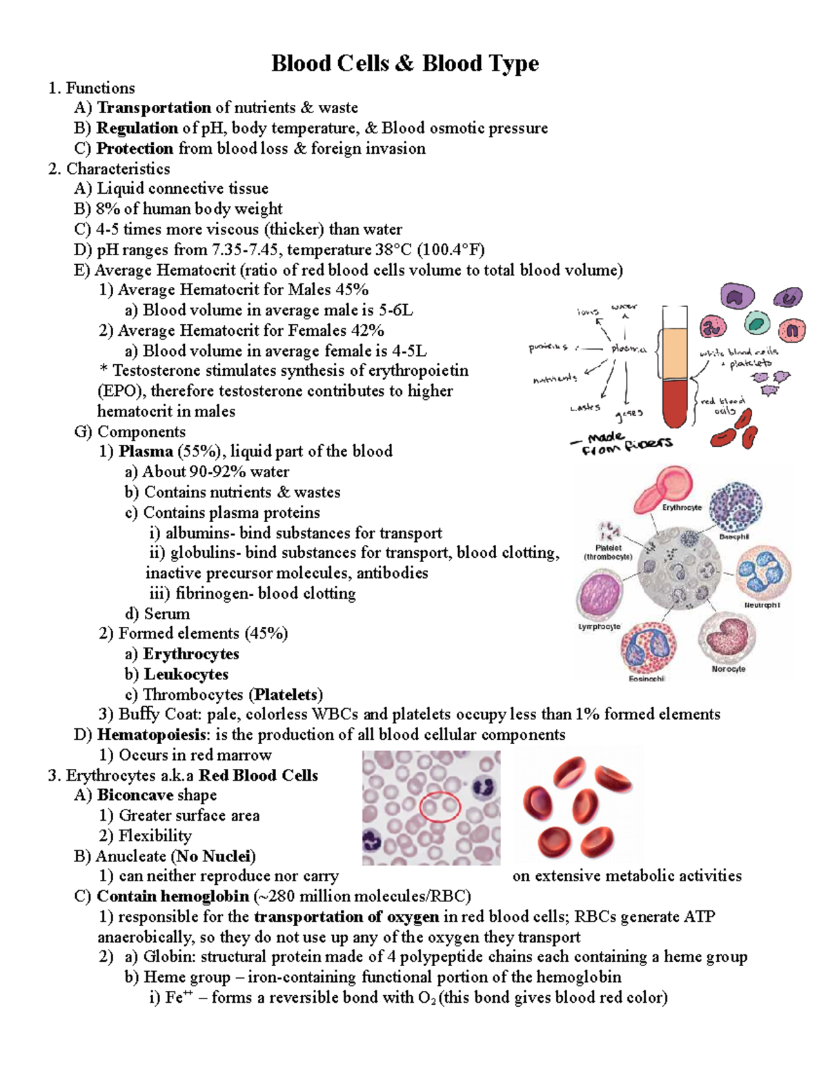 Blood Outline - Blood Cells & Blood Type Functions A) Transportation of ...