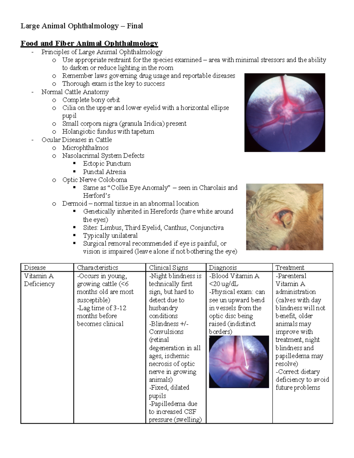 Large Animal Opthalmology - Final - Large Animal Ophthalmology – Final ...