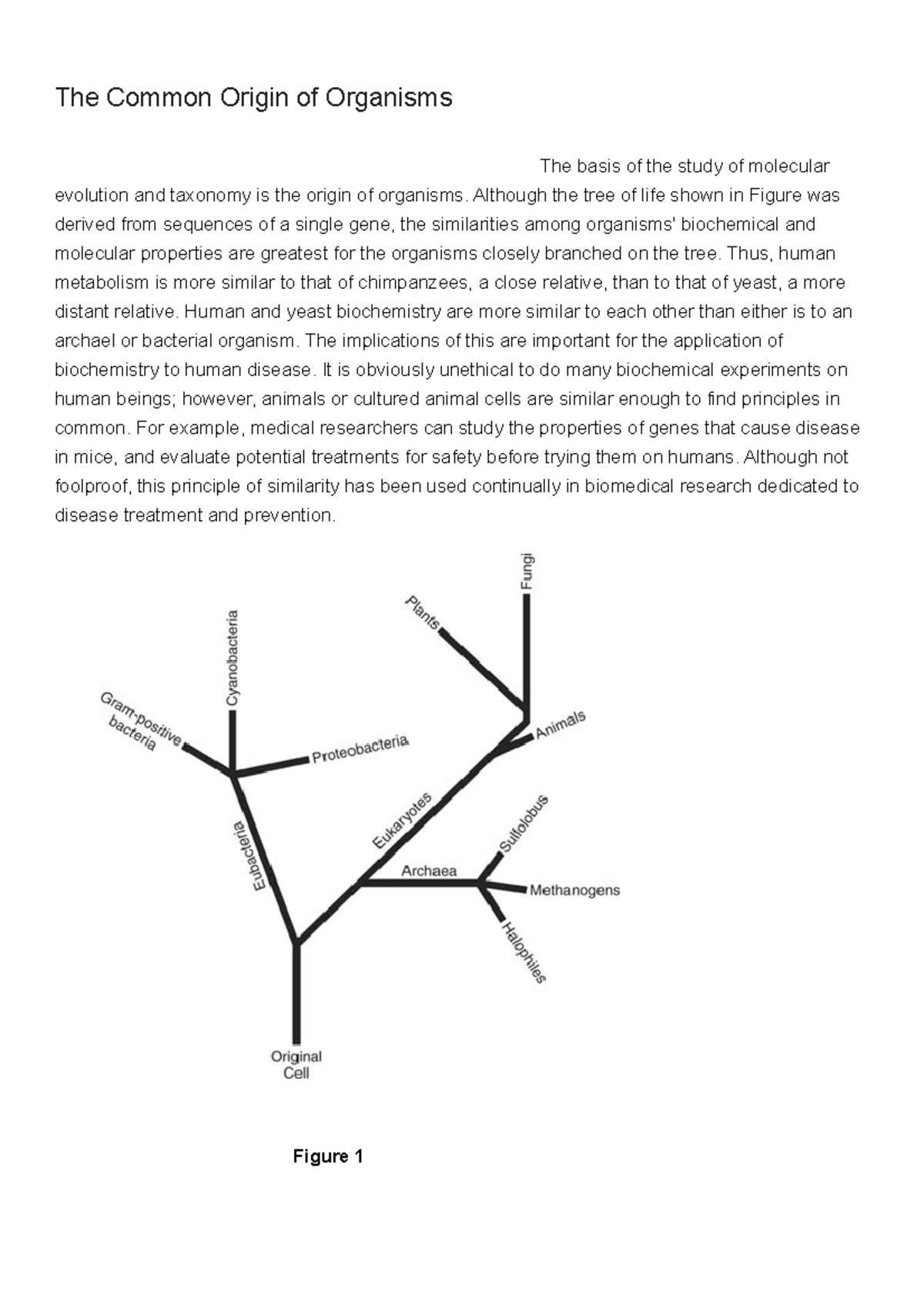 2 - The Common Origin of Organisms - The Common Origin of Organisms The ...