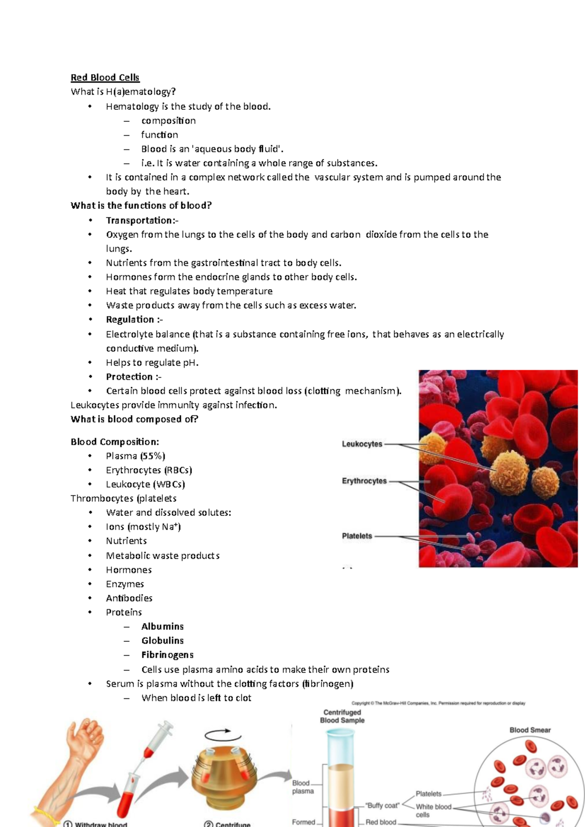Study notes Intro into blood - Red Blood Cells What is H(a)ematology ...