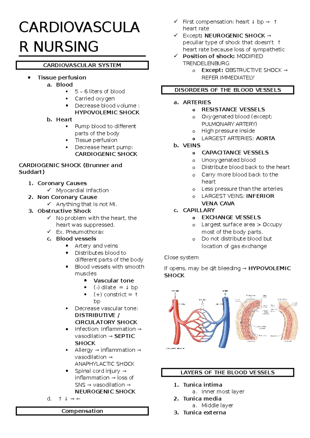 Cardiovascular System - CARDIOVASCULA R NURSING CARDIOVASCULAR SYSTEM ...