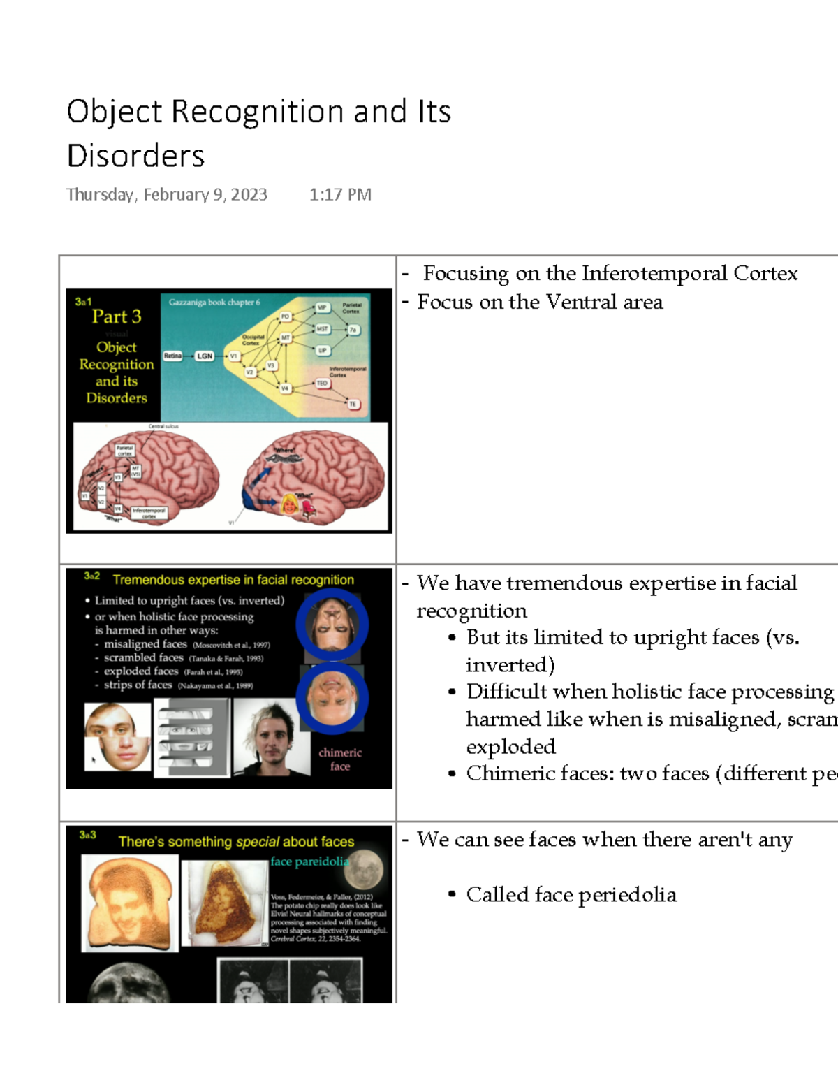 Object Recognition and Its Disorders - Focusing on the Inferotemporal Cortex Focus on the ...