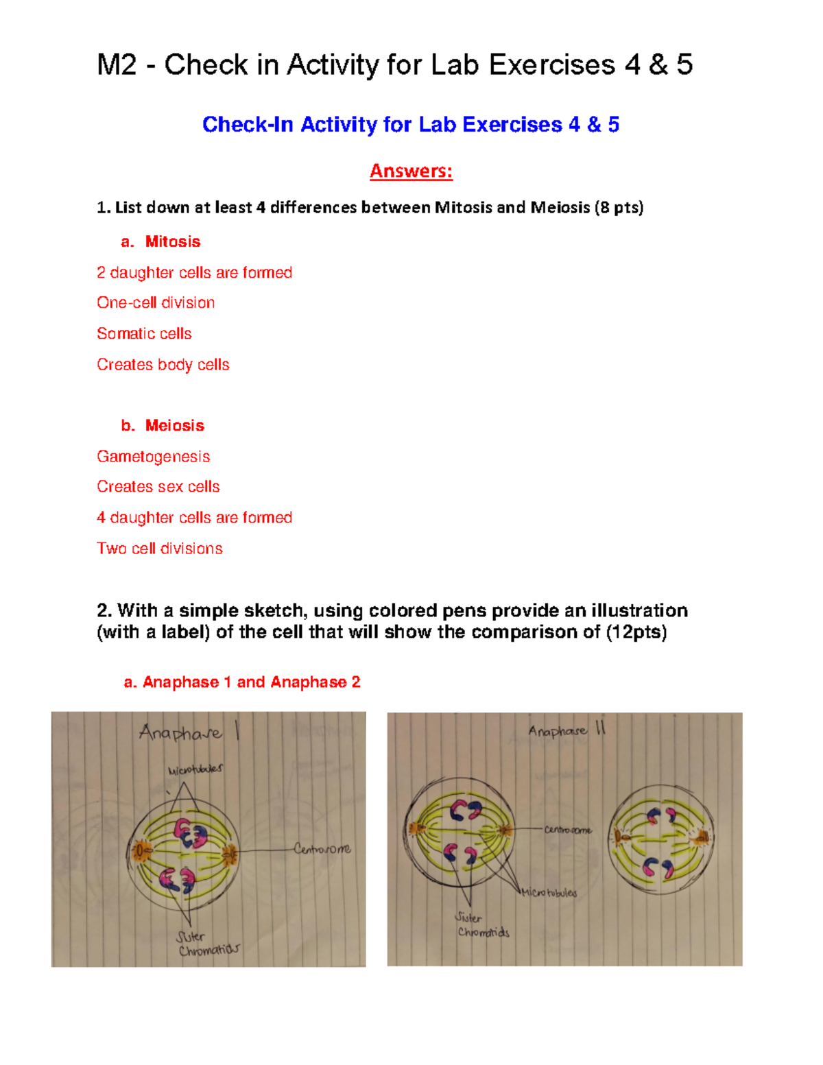 Dela cruz M2 Check-In Activity for Lab Exercises 4 and 5 - M2 - Check in Activity for Lab ...