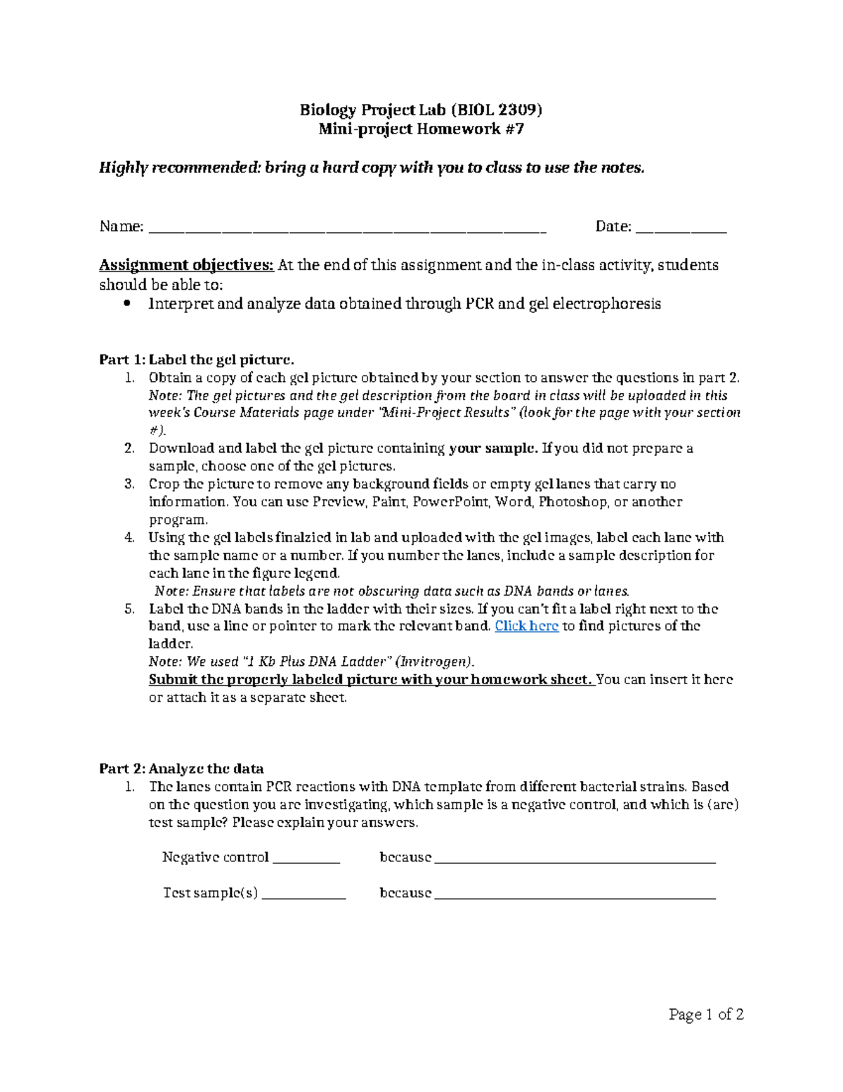 Mini project HW 7 PCR data analysis - Biology Project Lab (BIOL 2309 ...
