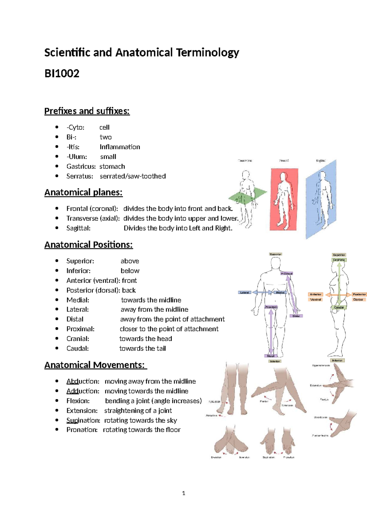BI1002 esssential and scientific terminology - Scientific and ...