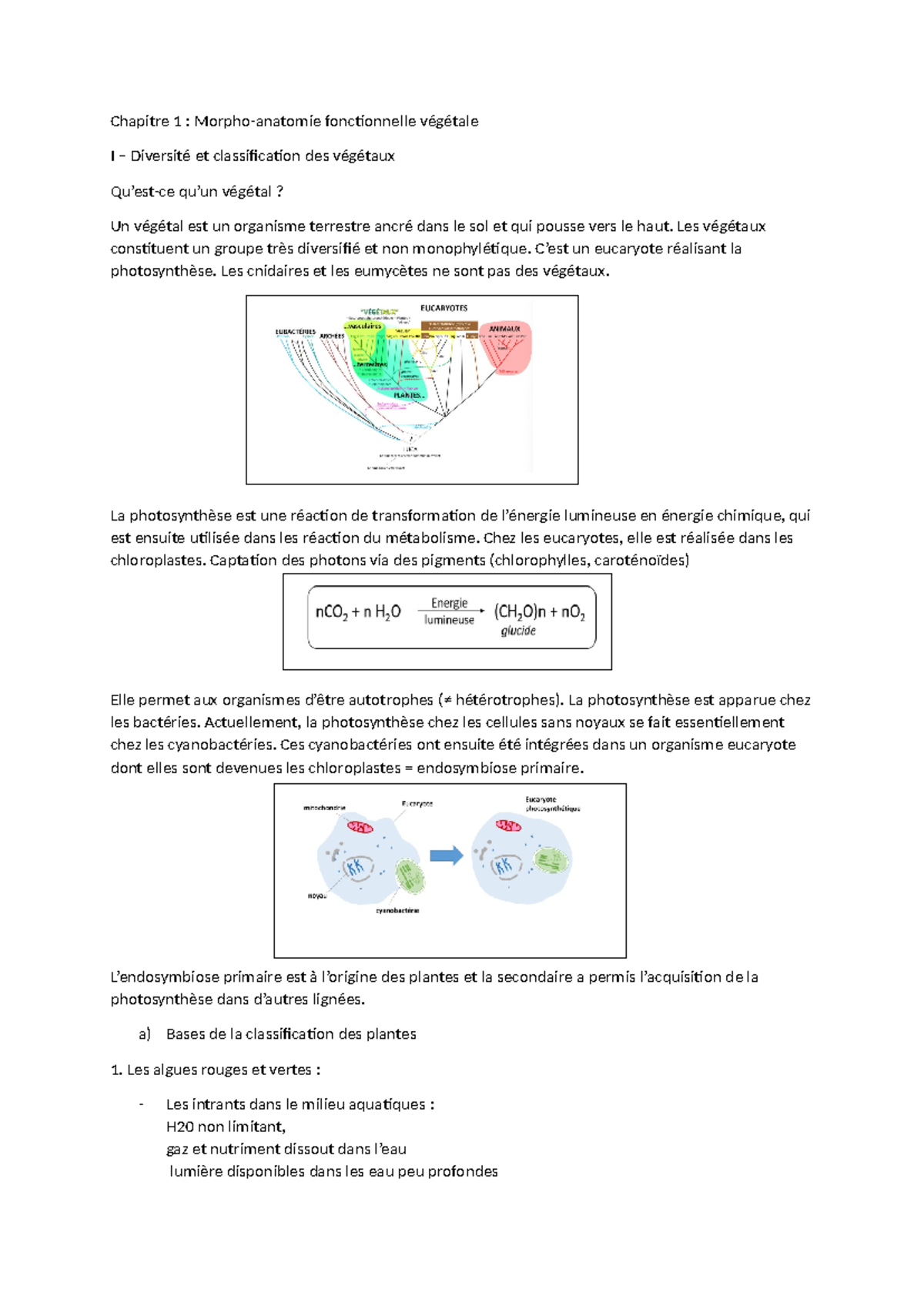 CM1 - CM1 de la matière des cellules aux organismes - Chapitre 1 : Morpho-anatomie fonctionnelle ...