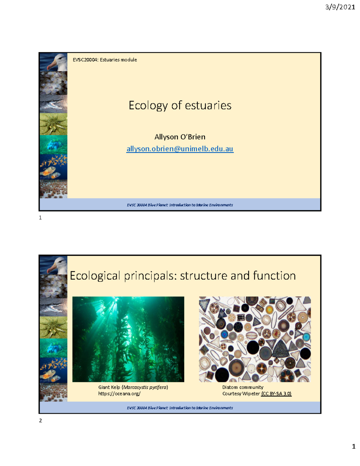 L3 Ecology of estuaries 2 per slide - EVSC 20004 Blue Planet ...