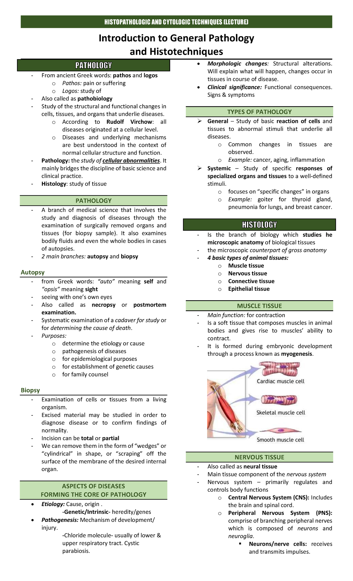 Histopath review - PATHOLOGY - From ancient Greek words: pathos and ...