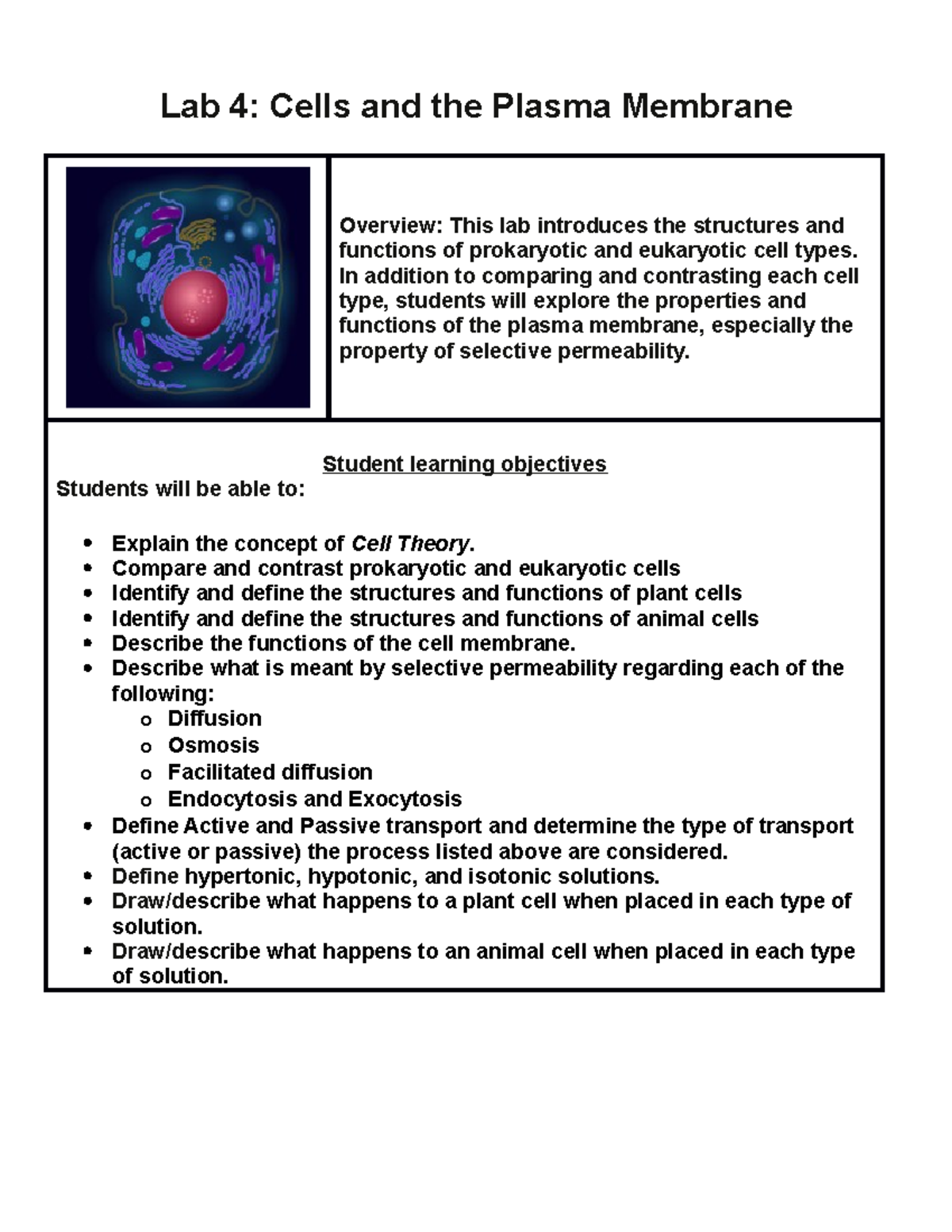 Lab 4 1406 Modified for online - Lab 4: Cells and the Plasma Membrane ...