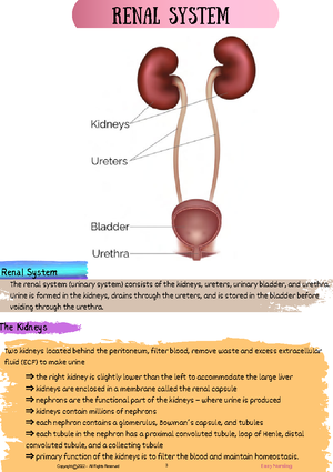 Fetal monitor strip practice - FETAL HEART RATE STRIP ANALYSIS ...