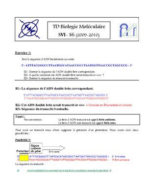 Biologie végétale Chapitre 4 - CHAPITRE 4 : MORPHOLOGIE DES ORGANES ...