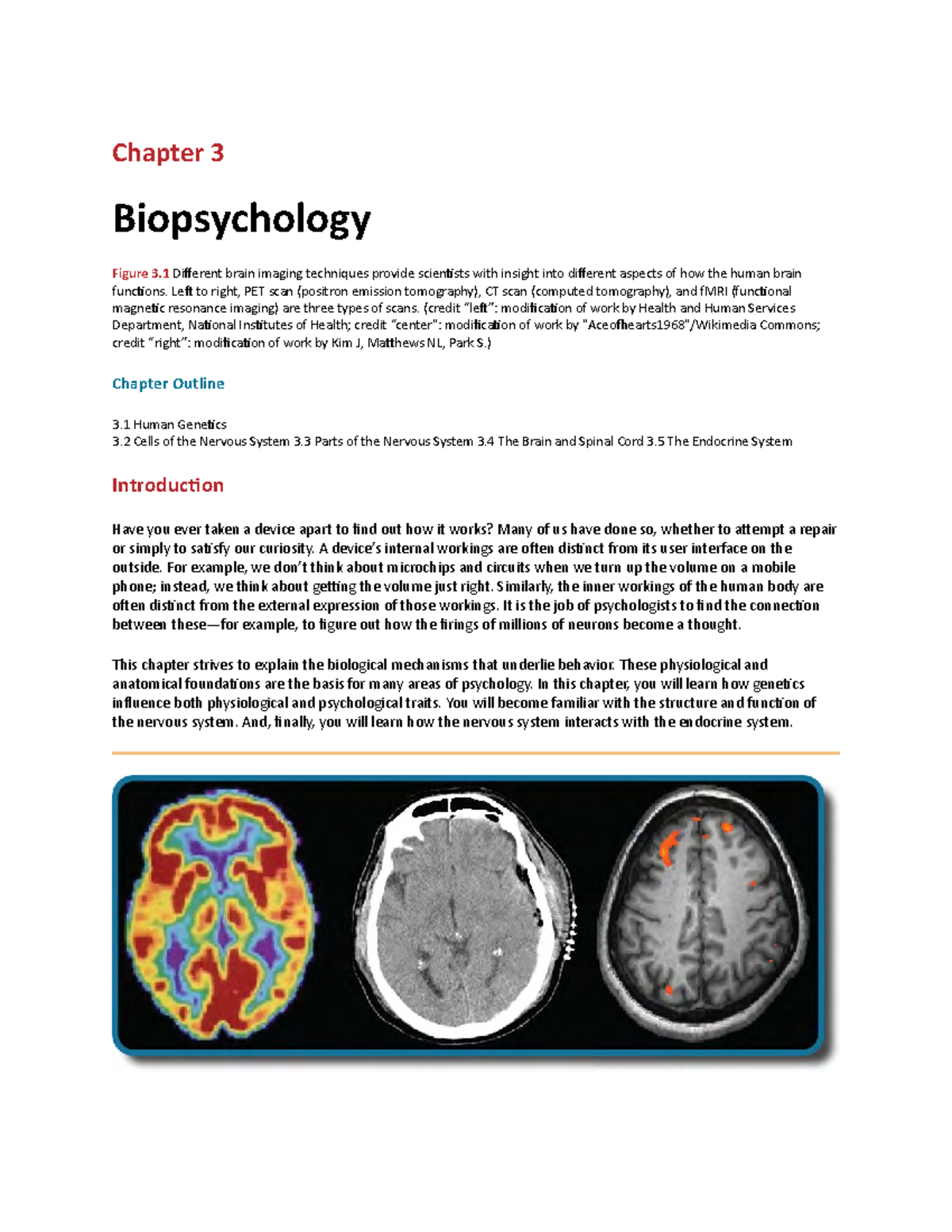 Biopsychology - Lecture notes 1 - Chapter 3 Biopsychology Figure 3 ...