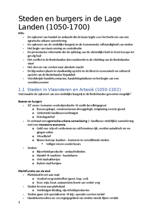 Steden en burgers in de Lage Landen 1050-1700 vwo - Paragraaf 1: De ...