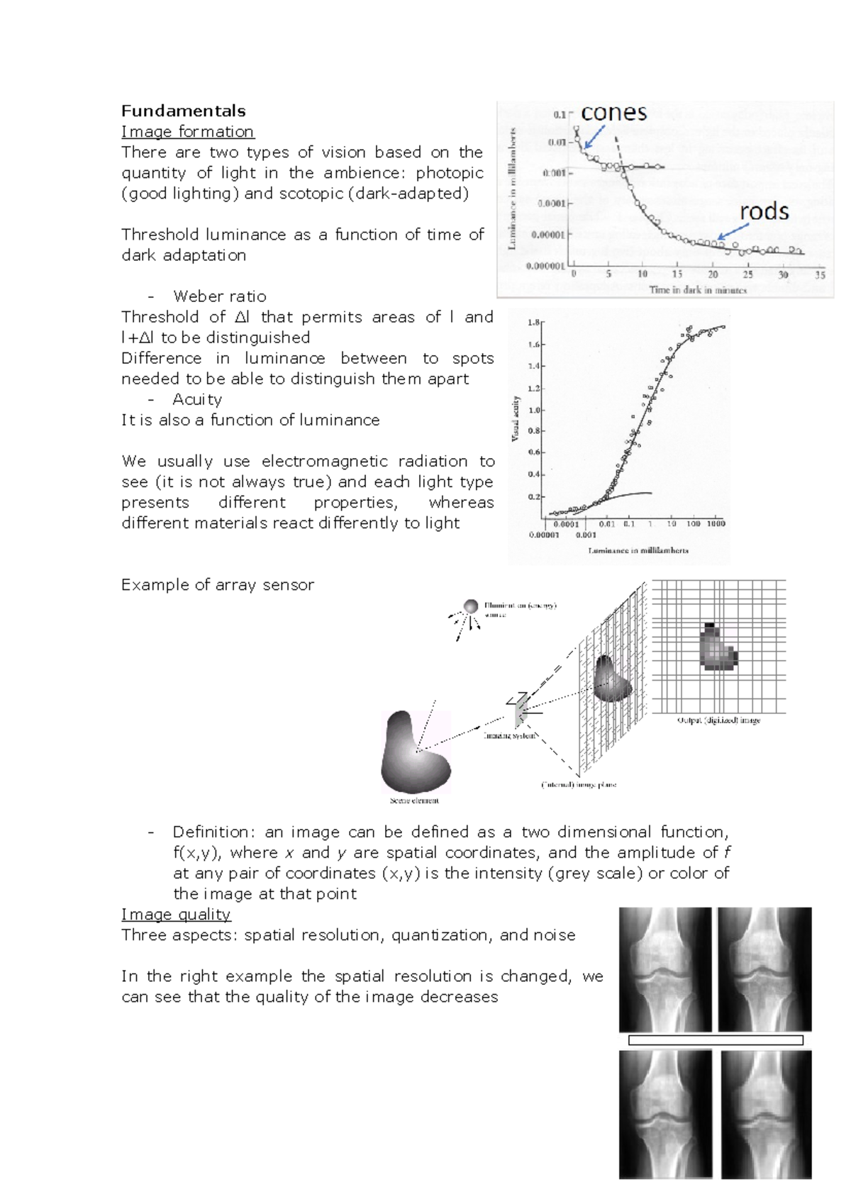 Fundamentals - Breve resumen del tema - Fundamentals Image formation ...