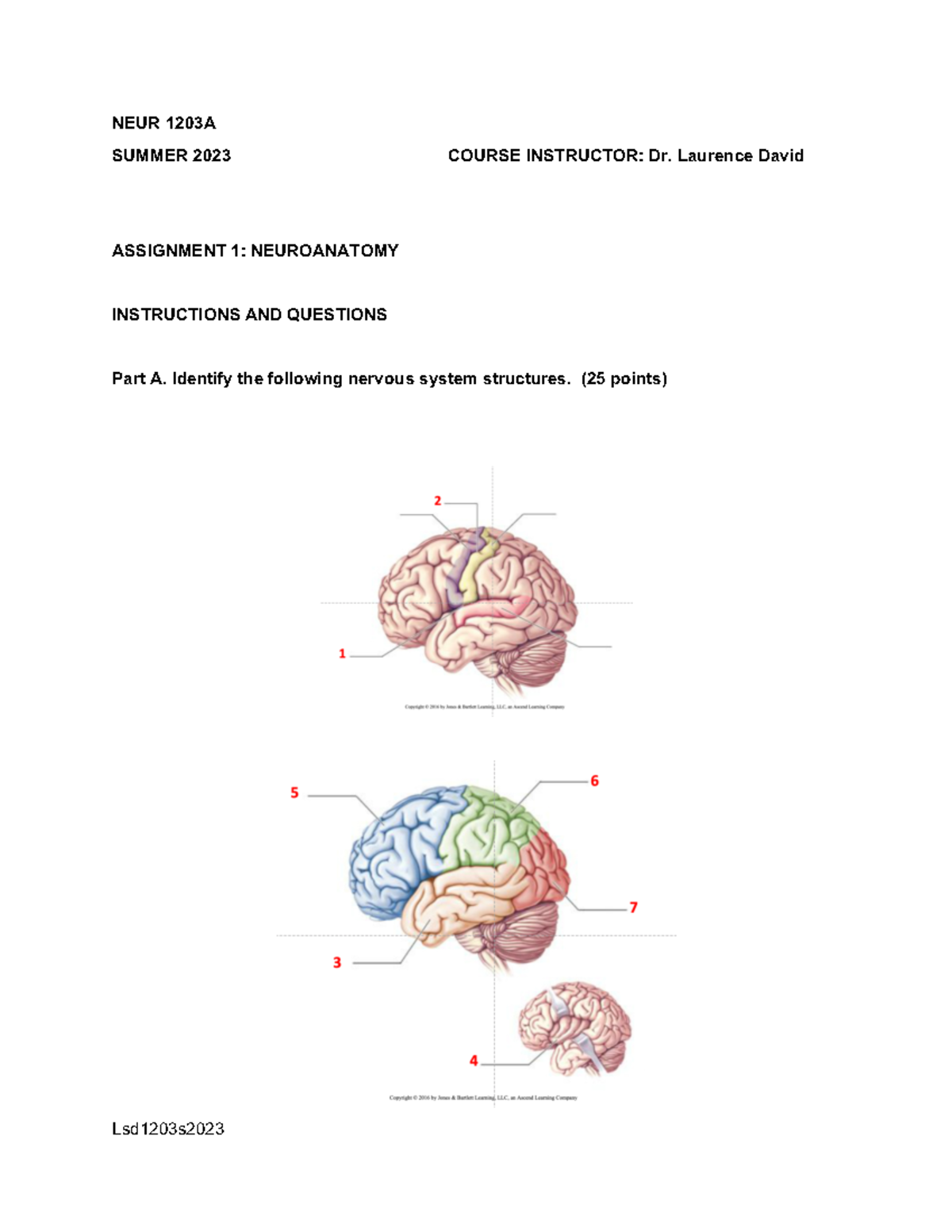 NEUR 1203A Summer 2023 Assignment 1 Questions - Comp 1805 - Carleton ...