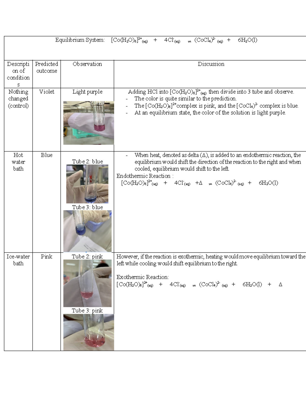 Equilibrium System - The color is quite similar to the prediction. The ...