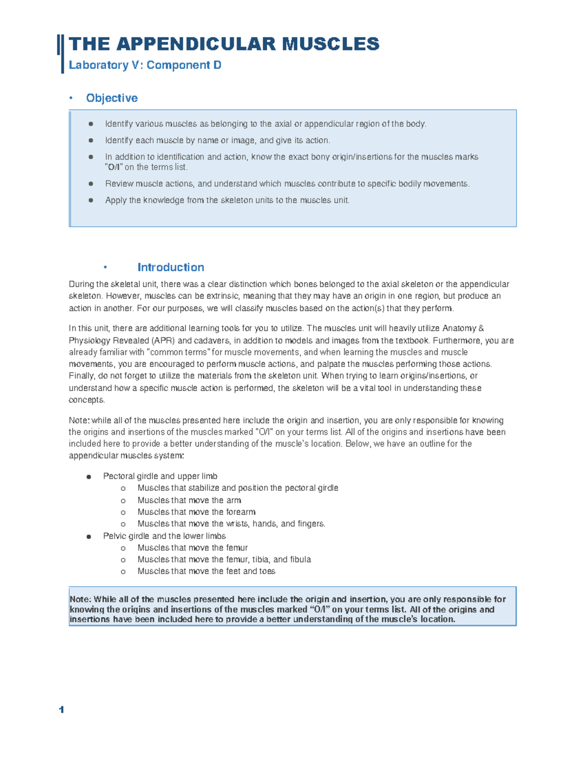 5D Appendicular+Muscles - THE APPENDICULAR MUSCLES Laboratory V ...
