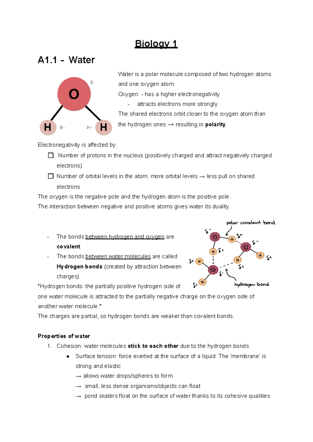 Biology Guide 5to - Hjjjjjj - Biology 1 A1 - Water Water is a polar ...