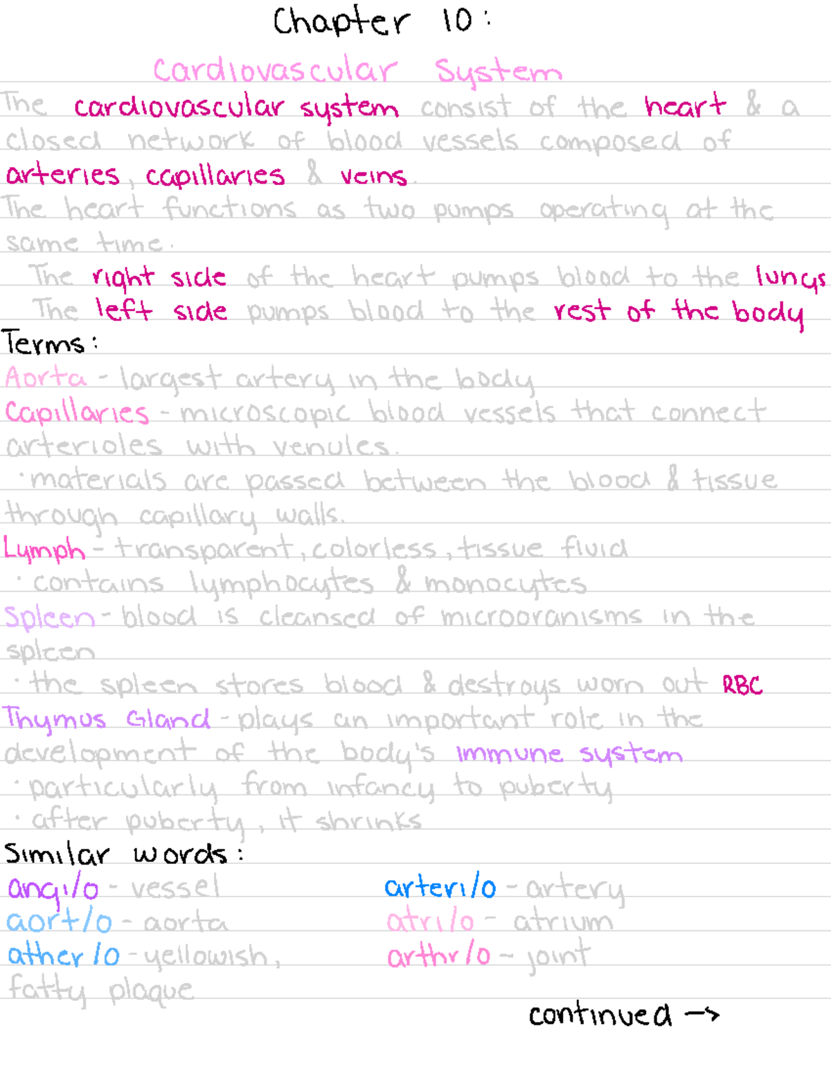 Medical Terminology 2 - chapter 10 cardiovascular system notes ...