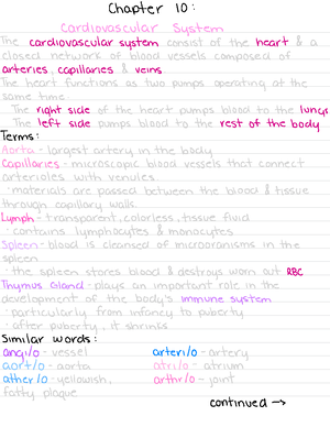 Medical Terminology - Studocu