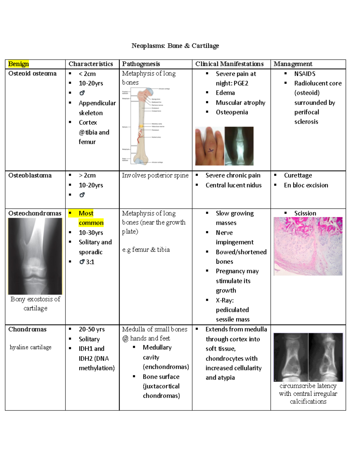 NEOPLASMS: BONE AND CARTILAGE* - Neoplasms: Bone & Cartilage Benign ...