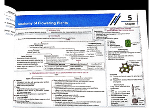 NEET Class 12 Biology Short Notes OF Chapter Plant Growth AND ...