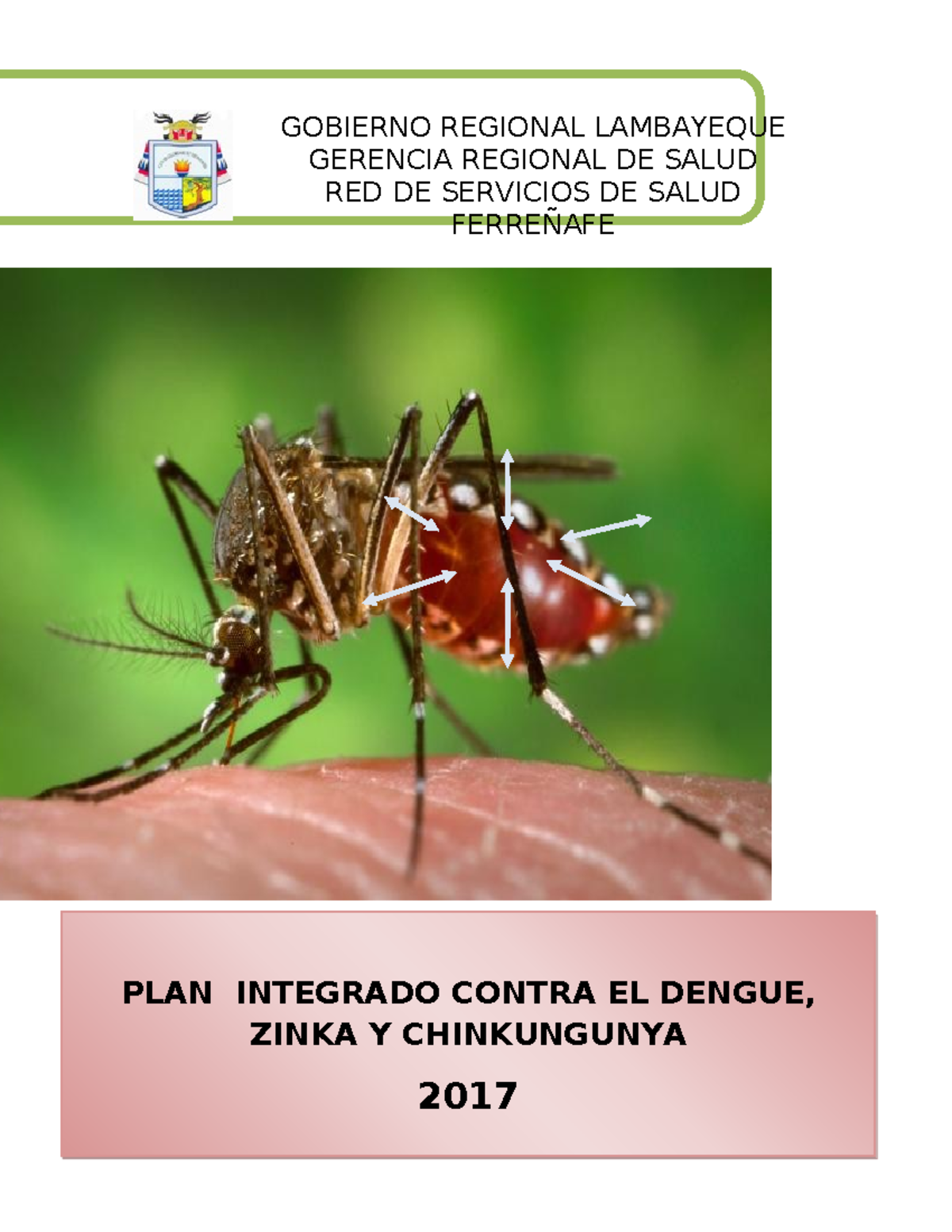 PLAN DE Atencion Integral - Dengue - PLAN INTEGRADO CONTRA EL DENGUE ...