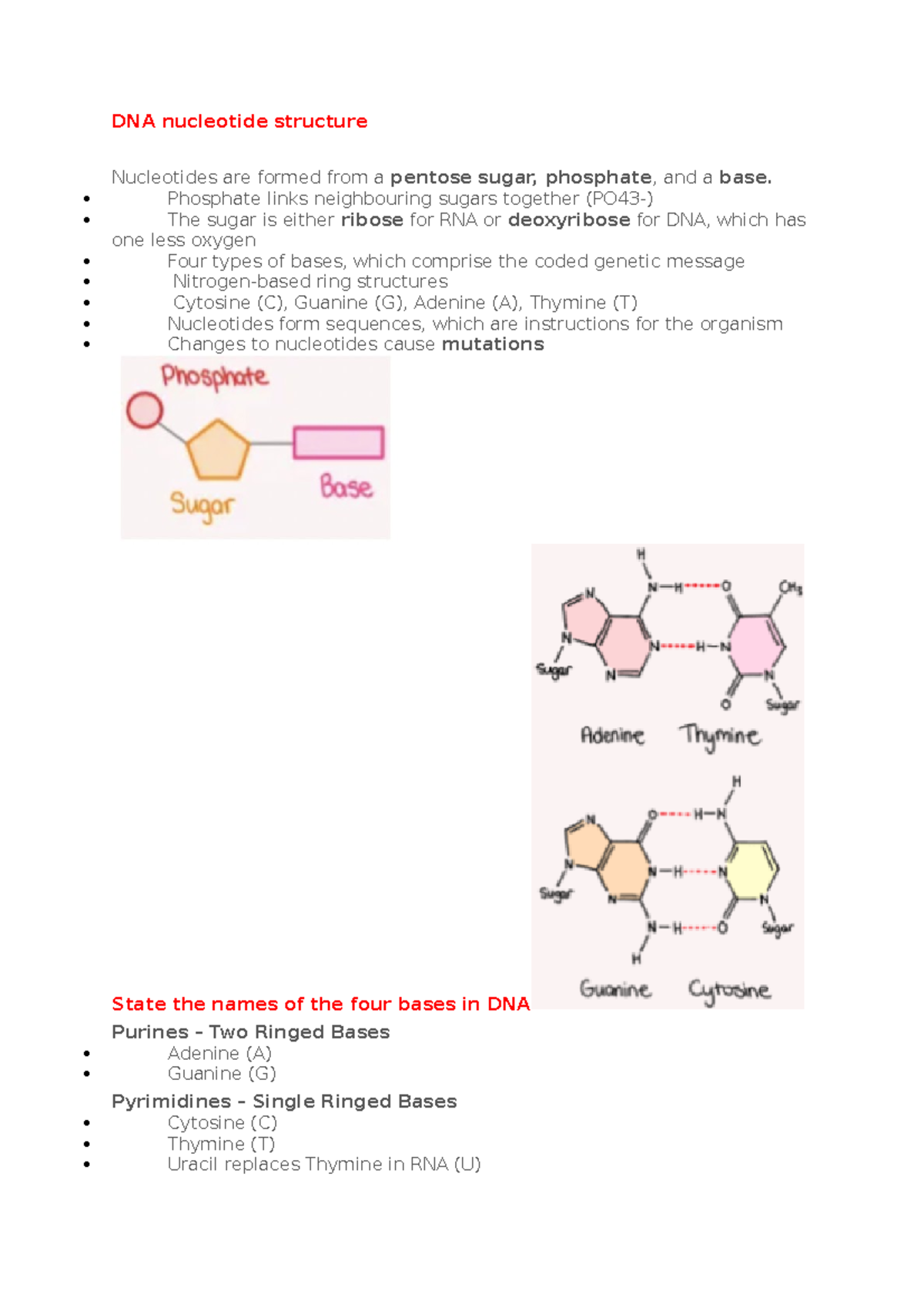 DNA structure GCSE - good explanation of the details and transcripts ...