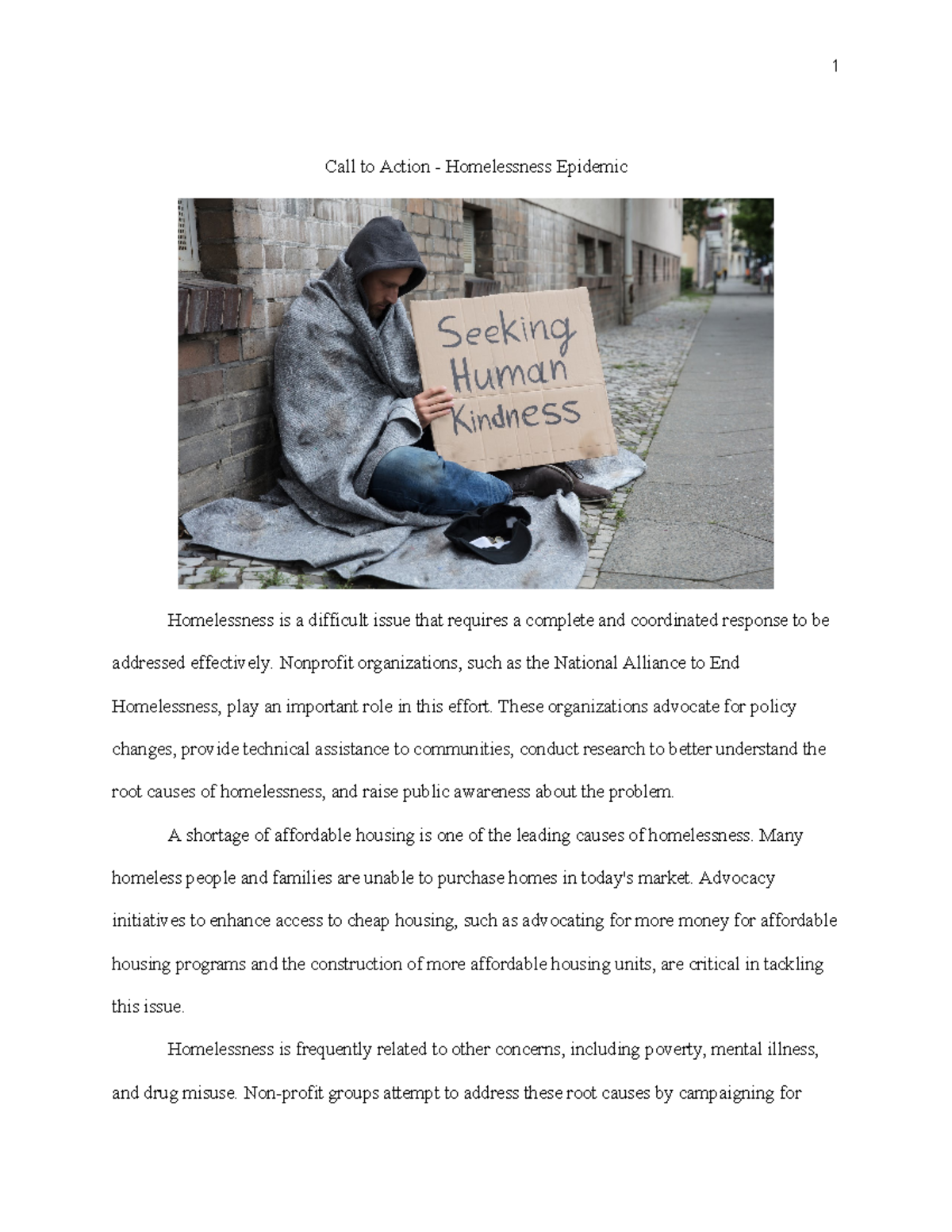 Call to Action - Homelessness Epidemic -4 - 1 Call to Action ...