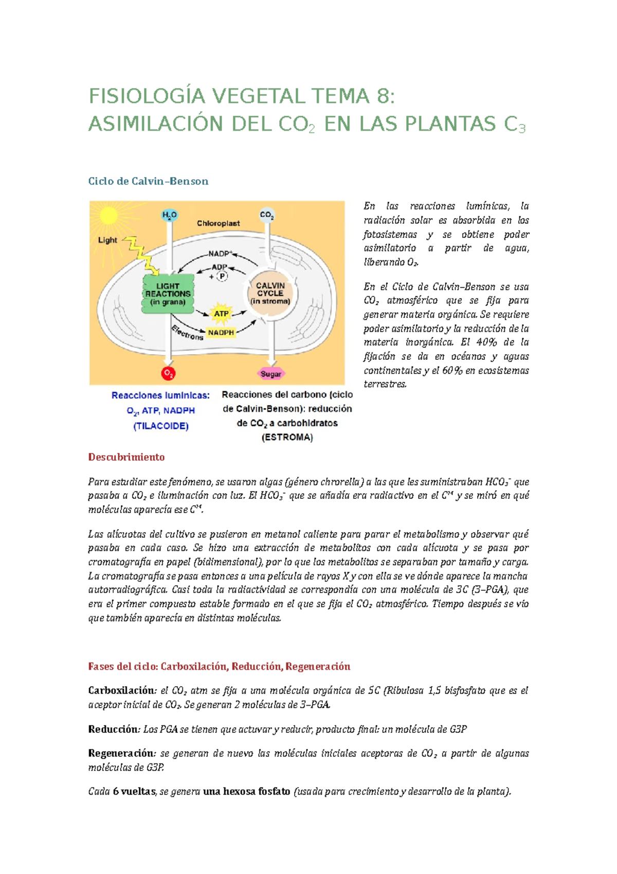 Fisiología Vegetal TEMA 8 - Asimilación DEL CO2 EN LAS Plantas C3 ...