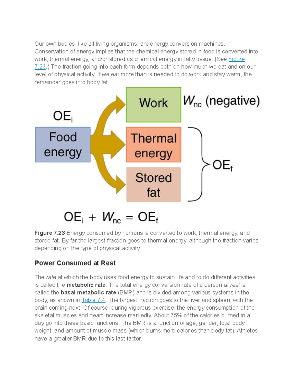 Lesson Note on Work and Energy in Humans - Our own bodies, like all ...