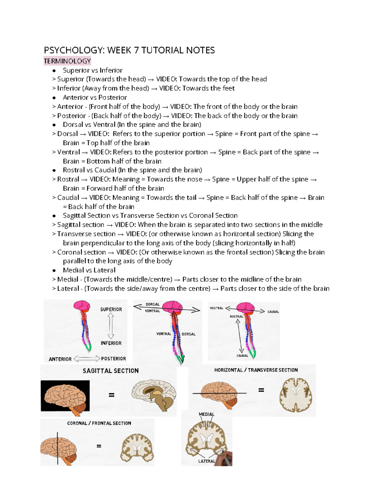Psychology Week 7 Tutorial Notes - PSYCHOLOGY: WEEK 7 TUTORIAL NOTES ...
