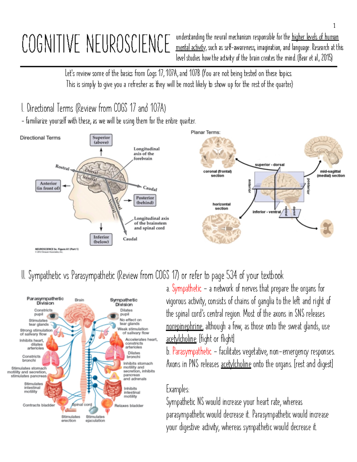 Week1 Study Guide - COGNITIVE NEUROSCIENCE Let’s review some of the ...