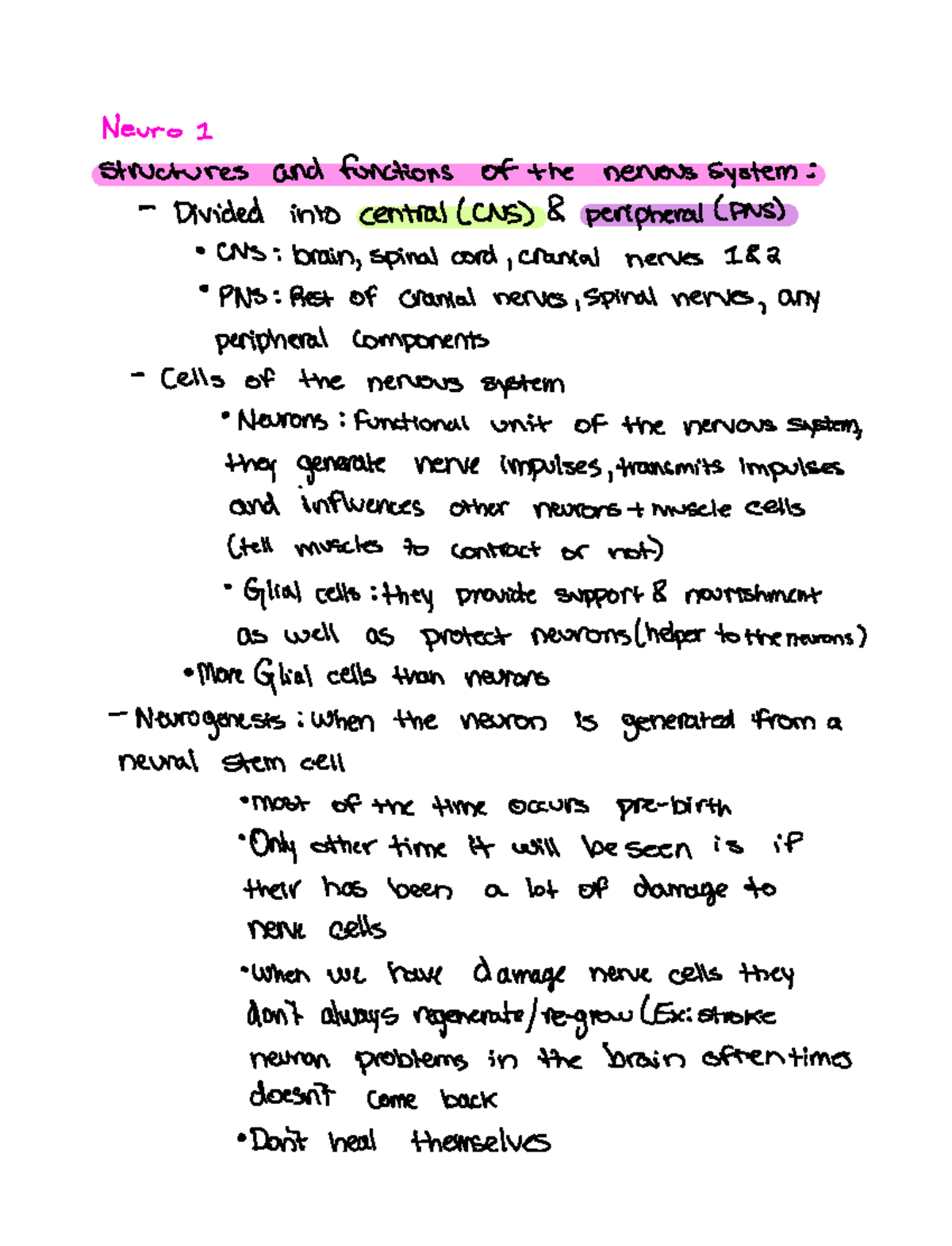 Nervous System Function Brain